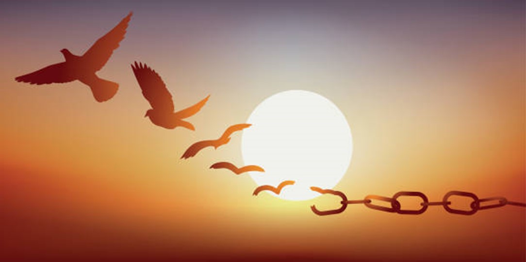 Thank you Mr. Adam Soos and Dr. Gad Saad for having interviewed Dr ...